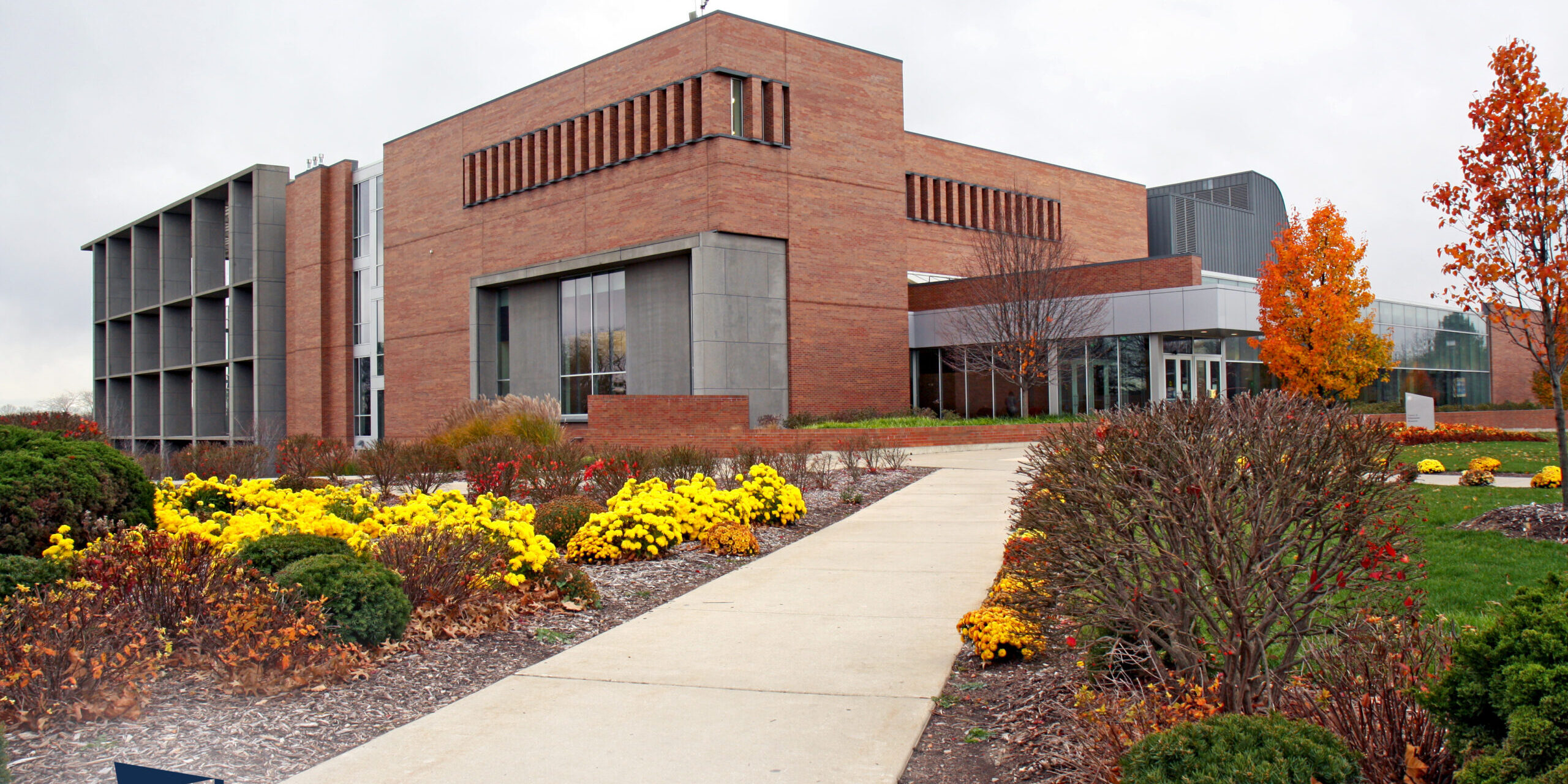 Reducing the Impact of Wind, Wind-Driven Rain and Hail to Educational ...
