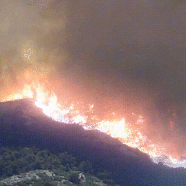 Wildfire Prepared Social Resources – Insurance Institute for Business ...