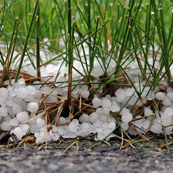 Pioneering Building Science Research – Insurance Institute for Business ...