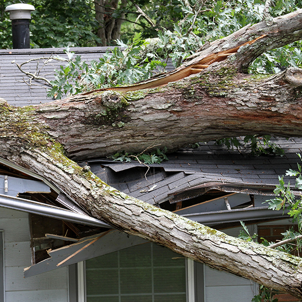 Pioneering Building Science Research – Insurance Institute for Business ...